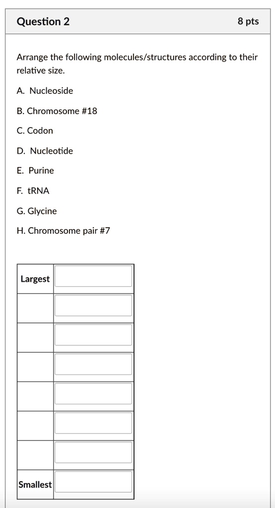 SOLVED: Question 2 8 pts Arrange the following molecules/structures according to their relative ...