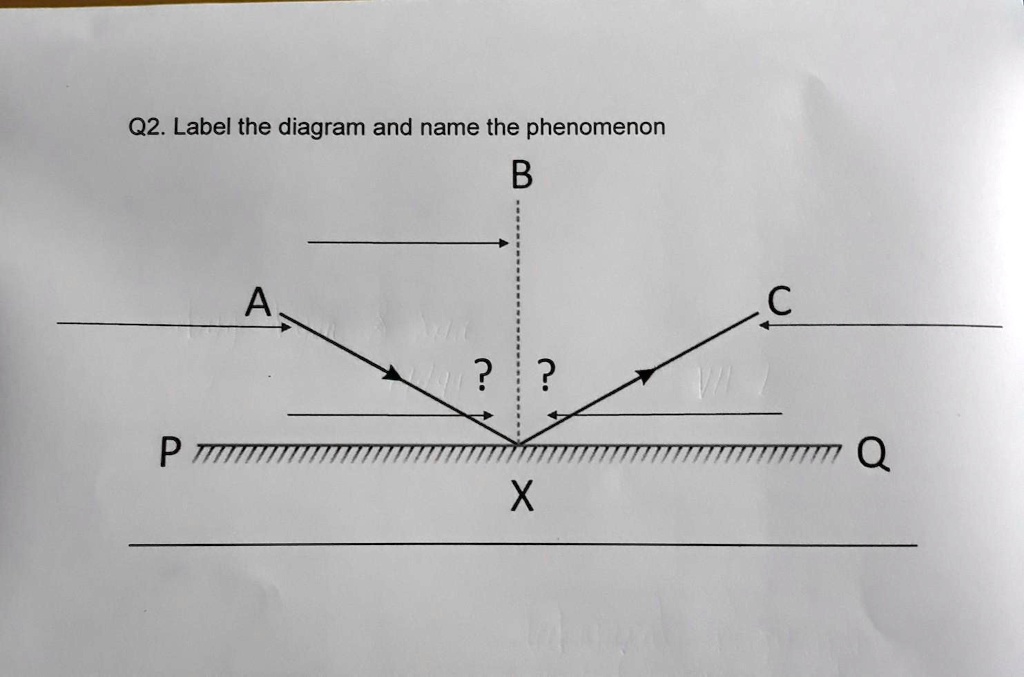 SOLVED: 'Q2. Label the diagram and name the phenomenon B A. С ?? PM a X ...