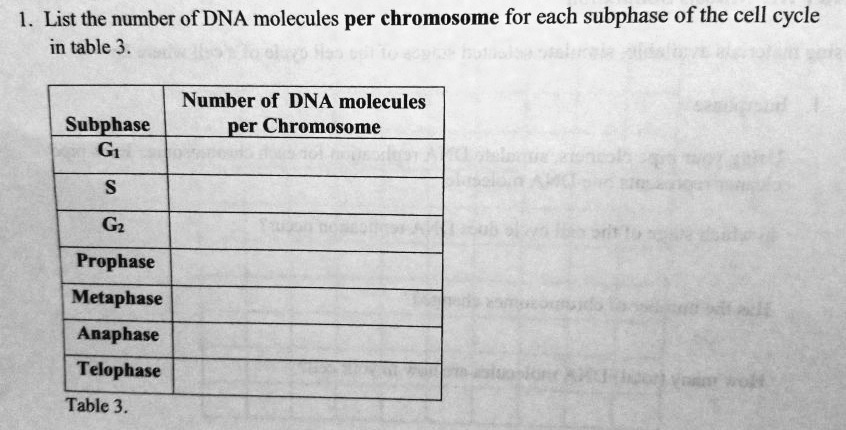 SOLVED: List the number of DNA molecules per chromosome for each ...