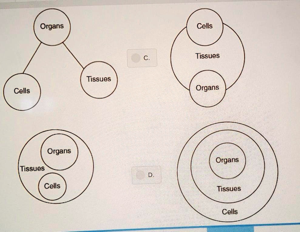 SOLVED: Please help!! Which diagram best illustrates the relationship ...