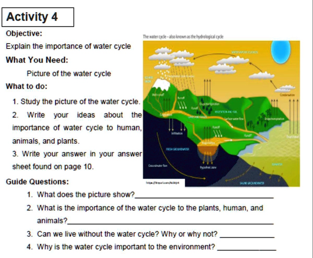 Activity 4 Objective: Explain the importance of water cycle What You ...