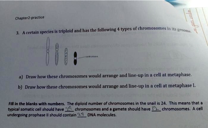 Chapter2-practice 3. A certain species is triploid and has the ...