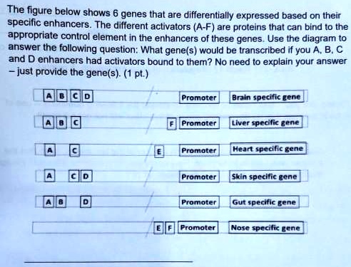 SOLVED: The figure below shows 6 genes that are differentially ...