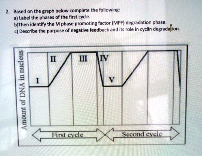 SOLVED: Based on the graph below, complete the following: a) Label the ...