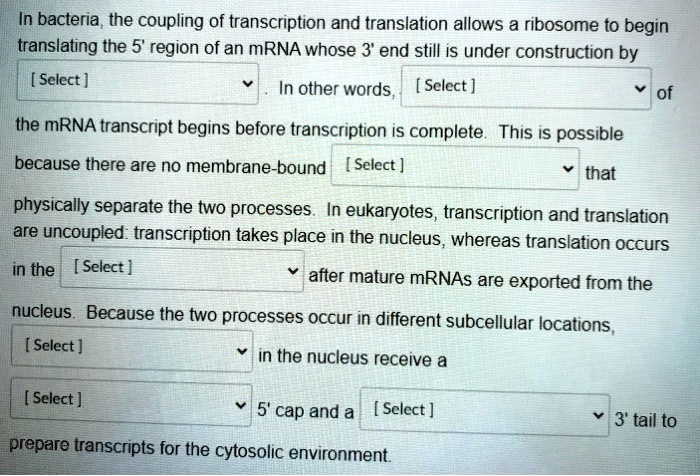 SOLVED: In bacteria; the coupling of transcription and translation allows a ribosome to begin ...