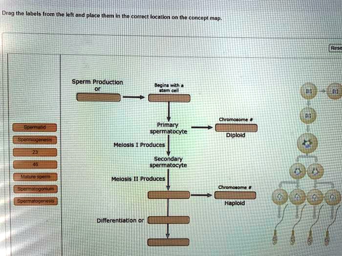Drag the labels from the left and place them in the correct location on ...
