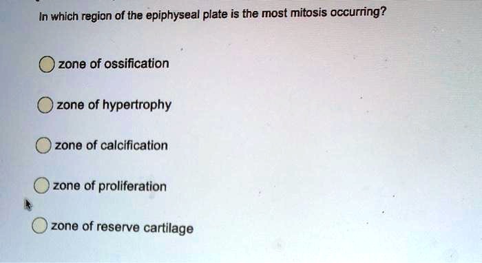 SOLVED: In which region of the epiphyseal plate is the most mitosis ...