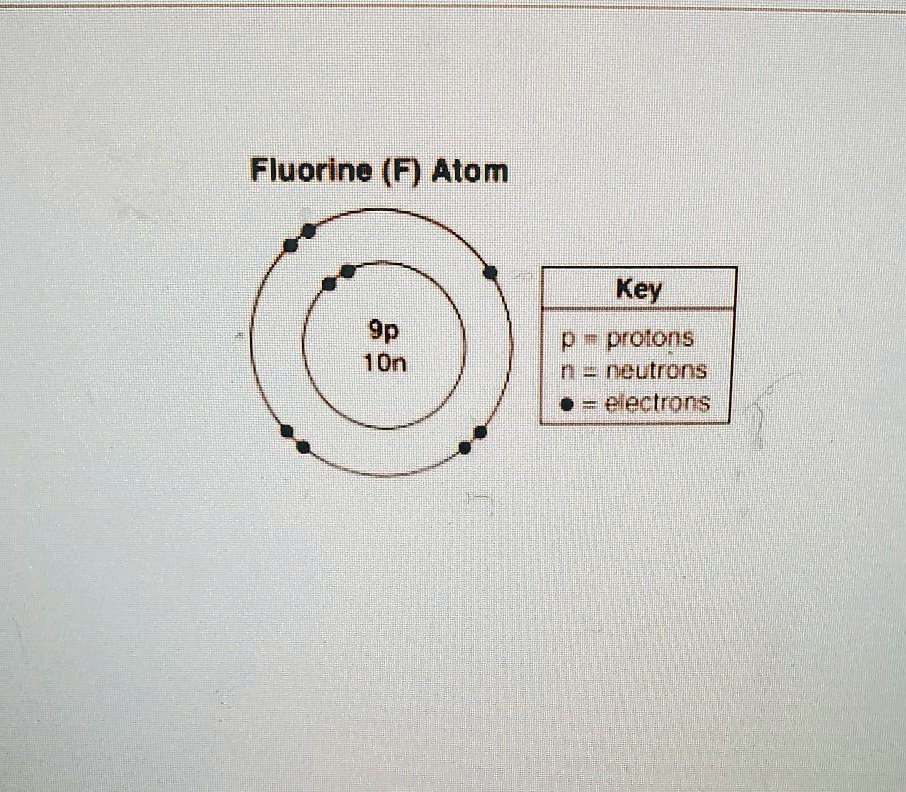 Fluorine (F) Atom 9p 10n Key p = protons n = neutrons • = electrons