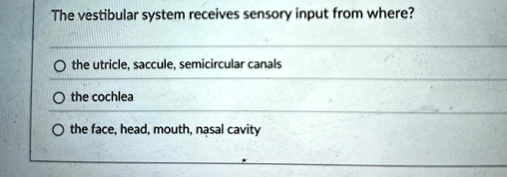 the vestibular system receives sensory input from where o the utricle ...