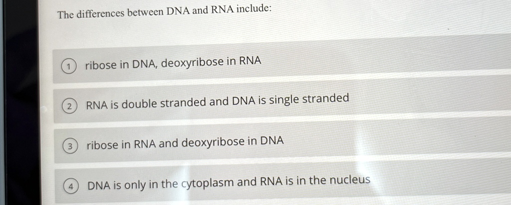 the differences between dna and rna include 1 ribose in dna deoxyribose ...