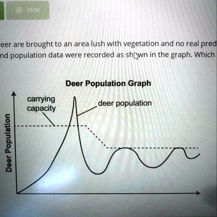 STOP eer are brought to an area lush with vegetation and no real pred ...