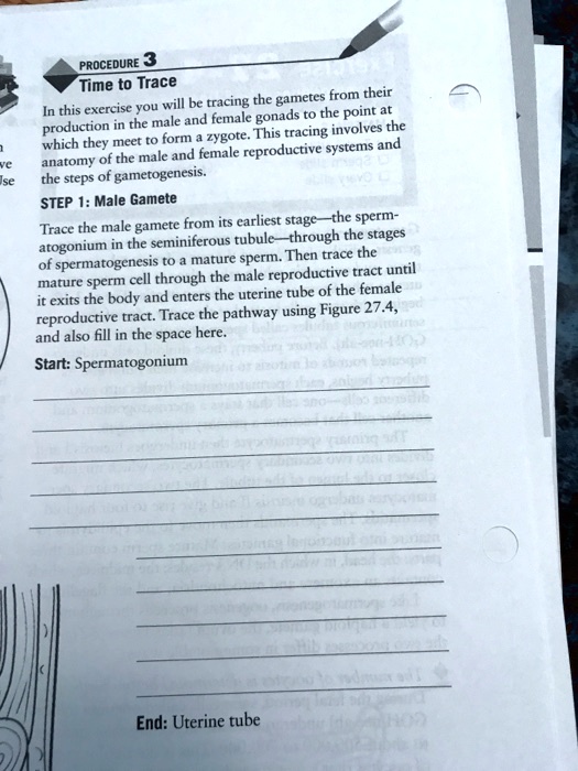 SOLVED: PROCEDURE 3: Time to Trace In this exercise, you will be ...