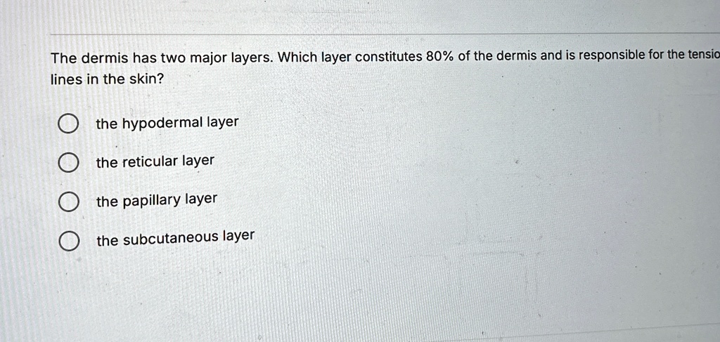 the dermis has two major layers which layer constitutes 80 of the ...