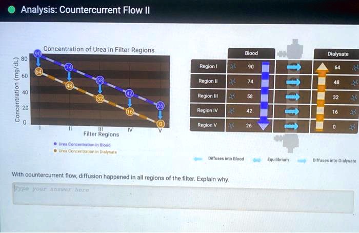 Analysis: Countercurrent Flow II Concentration of Urea in Filter Regions Concentration (mg/dL ...