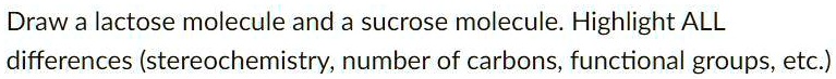 SOLVED: Draw a lactose molecule and a sucrose molecule. Highlight ALL ...