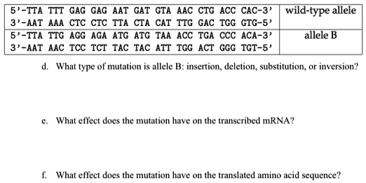 SOLVED: 5'-TTA TTT GAG GAG AAT GAT GTA AAC CTG ACC CAC-3' wild-type ...