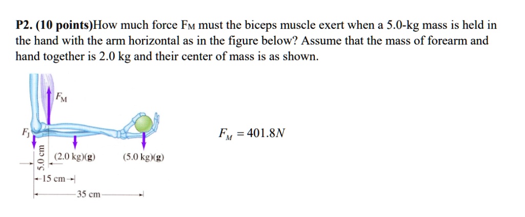 p2 10 pointshow much force fm must the biceps muscle exert when a 50 kg ...