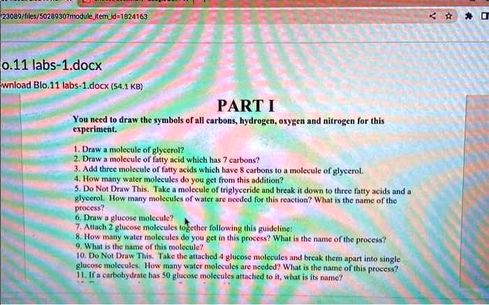 23089/files/50289307moduleitemid=1824163 0.11 labs-1.docx wnload Blo.11 labs-1.docx (54.1 KB ...