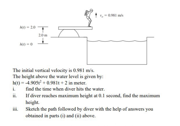 SOLVED: The initial vertical velocity is 0.981 m / s. The height above ...