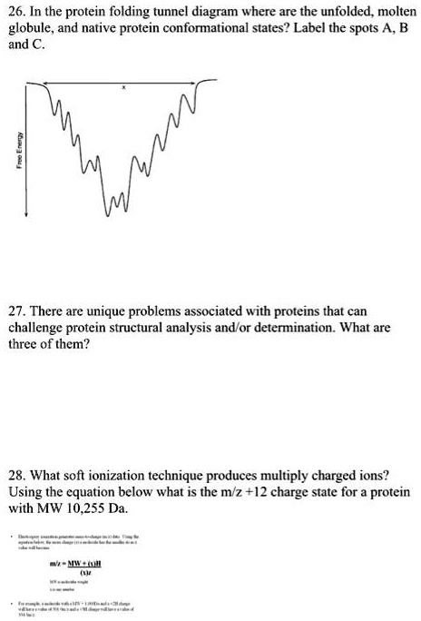 SOLVED: 26. In the protein folding tunnel diagram where are the ...