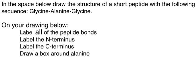 SOLVED:In the space below draw the structure of a short peptide with ...