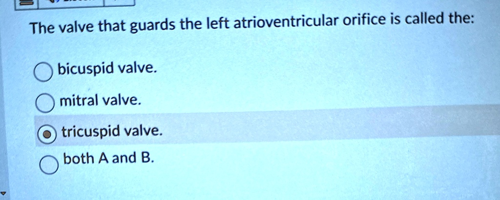 the valve that guards the left atrioventricular orifice is called the ...