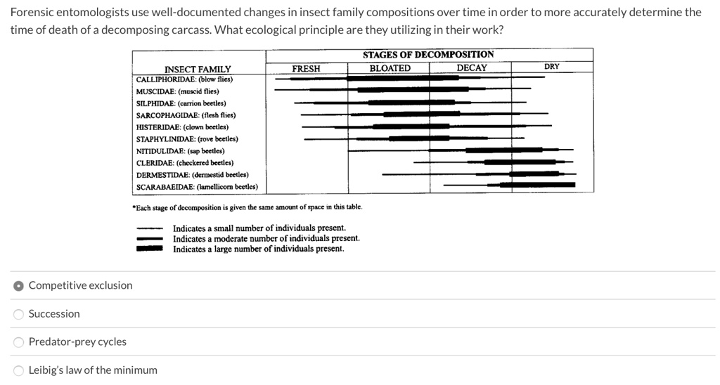 forensic entomologists use well documented changes in insect family ...