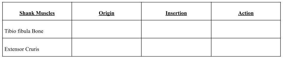 SOLVED: Shank Muscles Origin Insertion Action Tibiofibula Bone Extensor ...