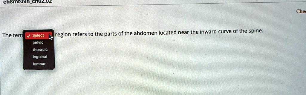 The term Select region refers to the parts of the abdomen located near ...