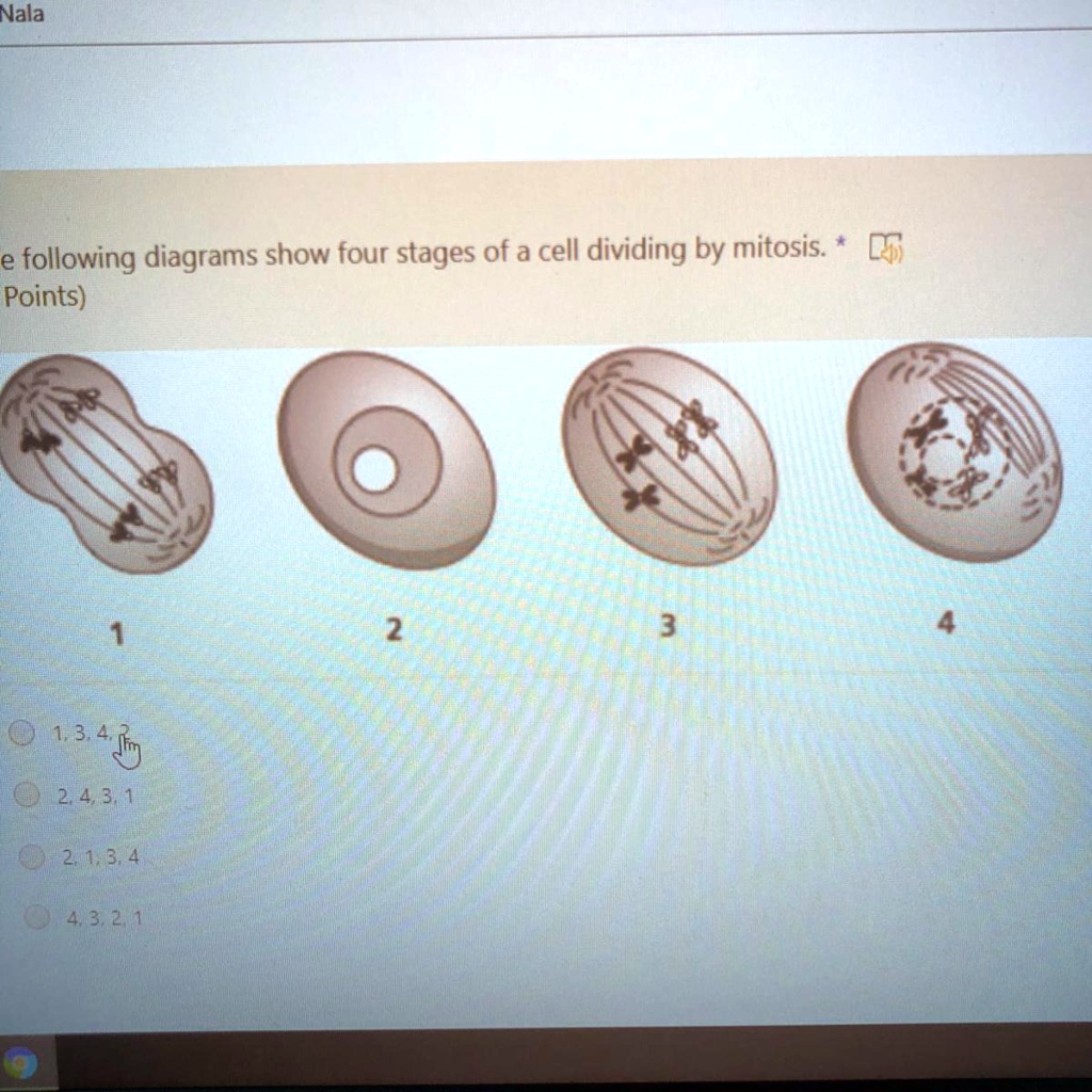 SOLVED: 'The following diagrams show four stages of a cell dividing by ...