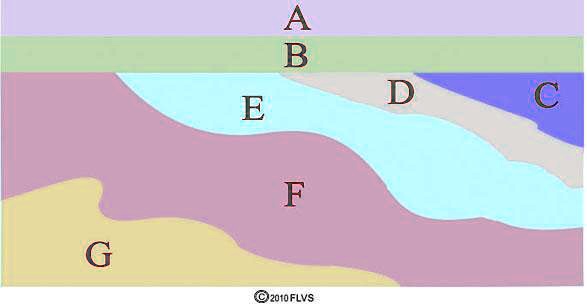 The diagram below shows different layers of sedimentary rocks. Based on the diagram, which of ...