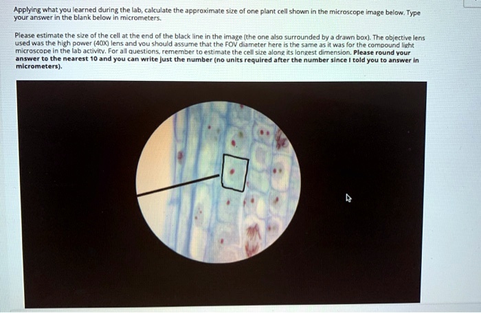 applying whatyou lcarned during the lab calculate the approximate size ...