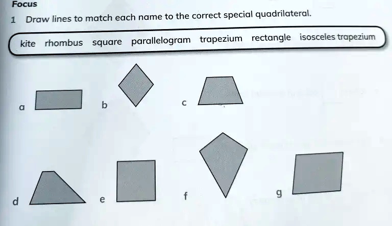 SOLVED: Focus Draw lines to match each name to the correct special ...