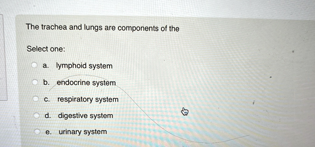The trachea and lungs are components of the Select one: a. lymphoid ...