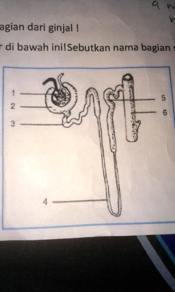 SOLVED: Perhatikan gambar dibawah ini sebutkan nama bagian serta fungsi ... SOLVED: Perhatikan gambar dibawah ini sebutkan nama bagian serta fungsi ...