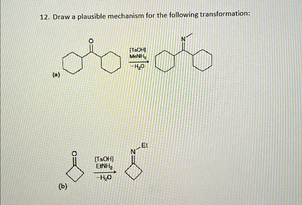 draw a plausible mechanism for the following transformation 12 draw a ...