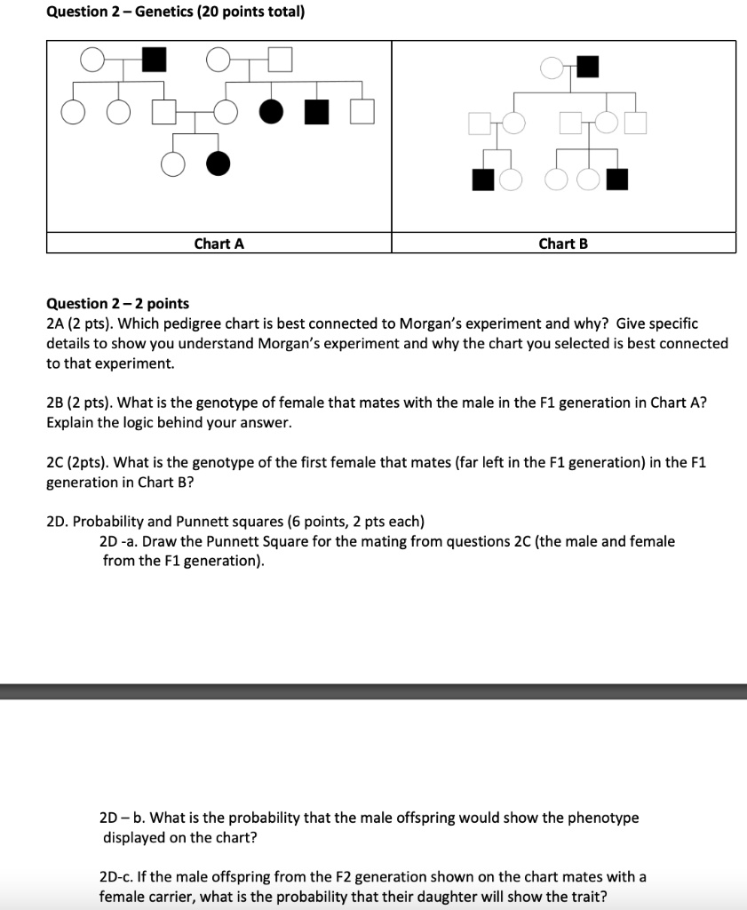 Solved Question 2 Genetics 20 Points Total Chart A Chart B Question 2 2 Points 2a 2 Pts 