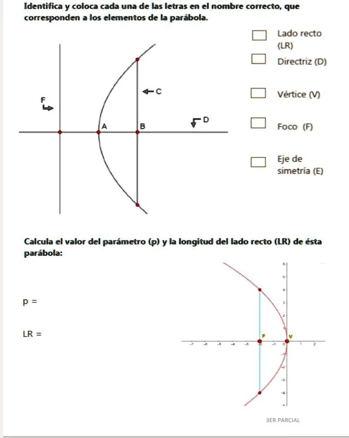 Identifica y coloca cada una de las letras en el nombre correcto, que ...
