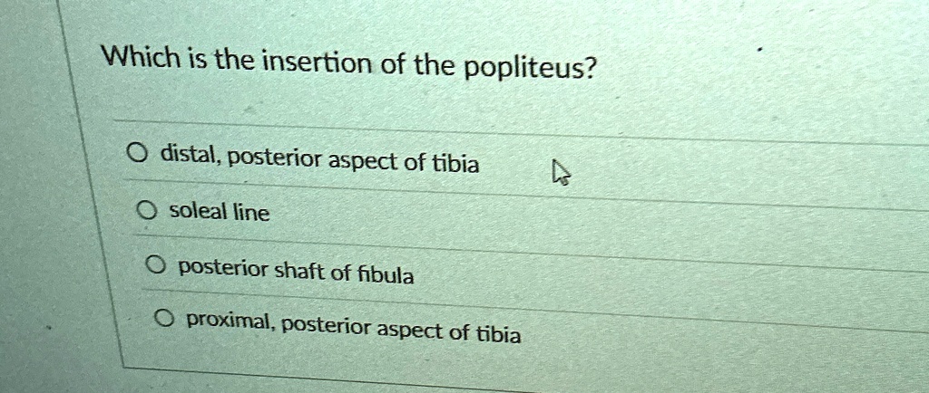 Which is the insertion of the popliteus? O distal, posterior aspect of ...