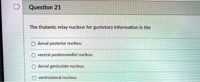 SOLVED: Question 21 The thalamic relay nucleus for gustatory ...