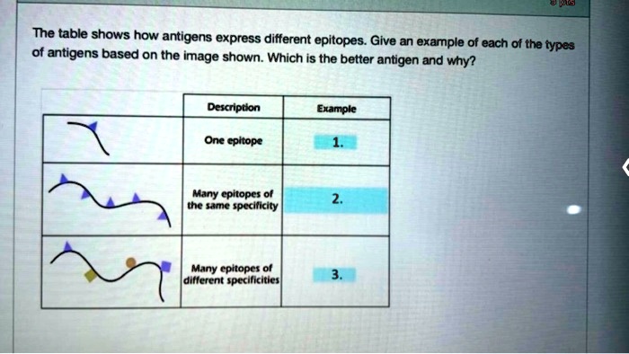 SOLVED: The table shows how antigens express different epitopes. Give an example of each of the ...