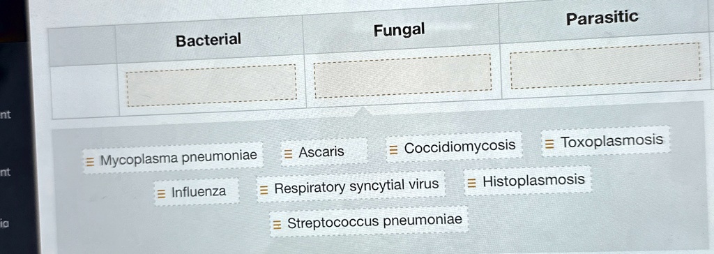 bacterial fungal parasitic mycoplasma pneumoniae ascaris ...