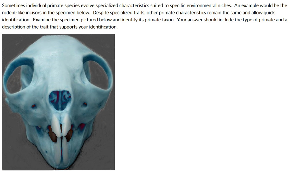 SOLVED: Sometimes, individual primate species evolve specialized ...