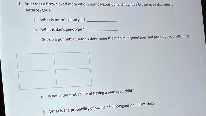 1. You cross a brown eyed mom who is homozygous dominant with a brown ...