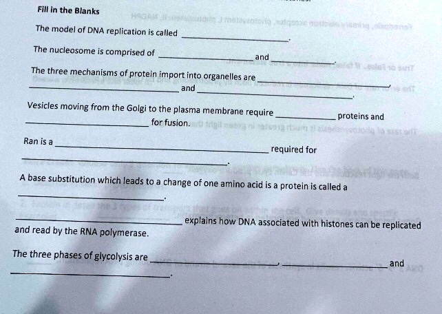 SOLVED: Fill in the Blanks: The model of DNA replication is called The ...