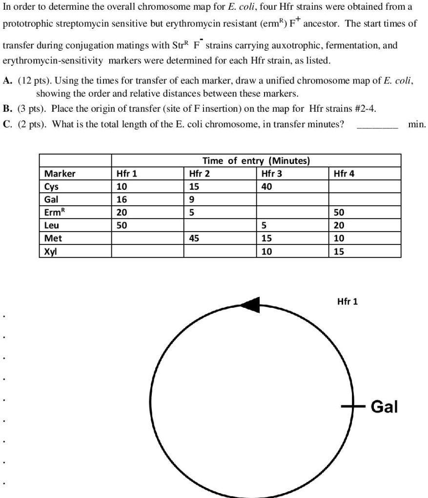 SOLVED: In order to determine the overall chromosome map for E. coli ...