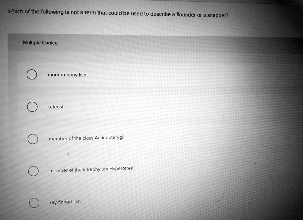 SOLVED: Which of the following is not a term that could be used to ...