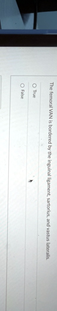 the femoral van is bordered by the inguinal ligament sartorius and ...