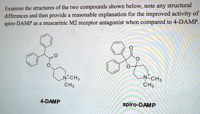 SOLVED:Examine the structures of the two compounds shown below, note ...