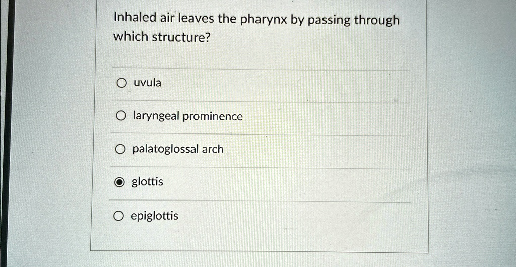 Inhaled air leaves the pharynx by passing through which structure? O ...